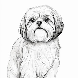 shih tzu coloring pages to print