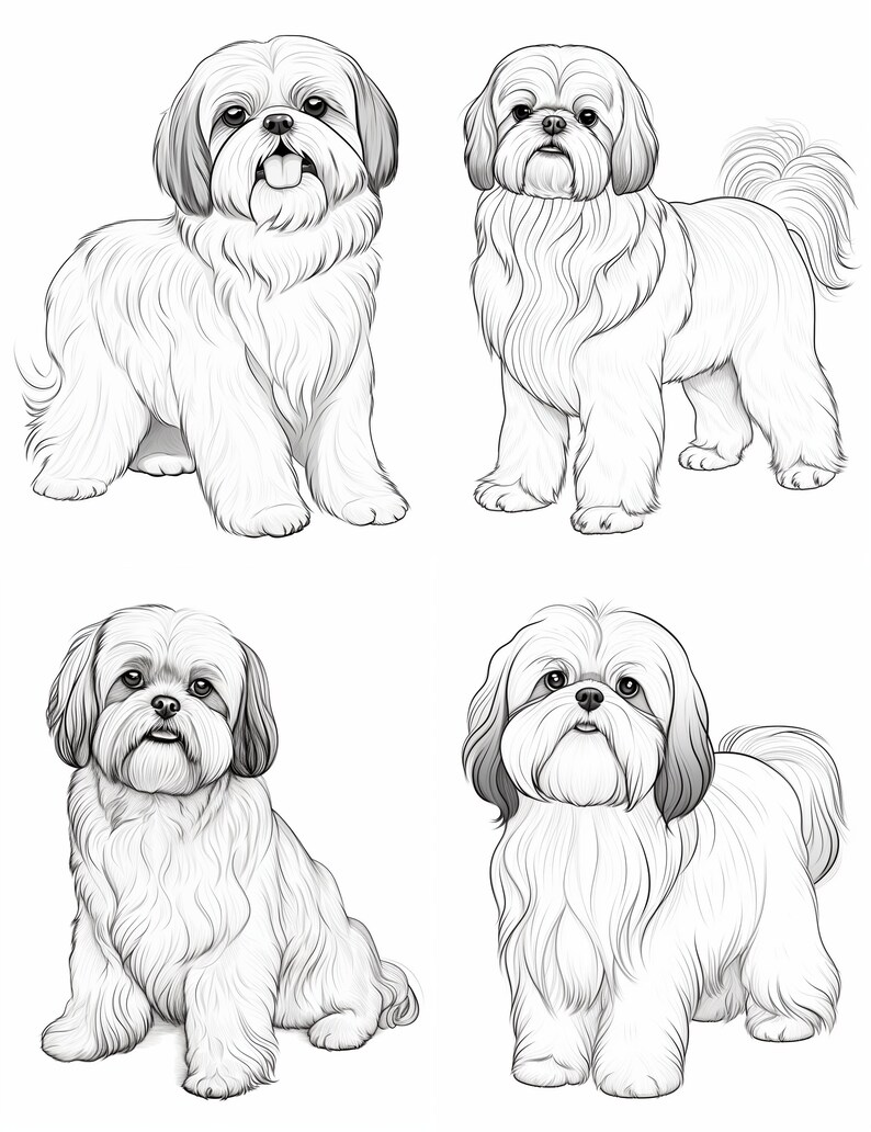 Shih Tzu, Dogs, Dog Coloring , Coloring Pages, Pet Portrait, Printable ...