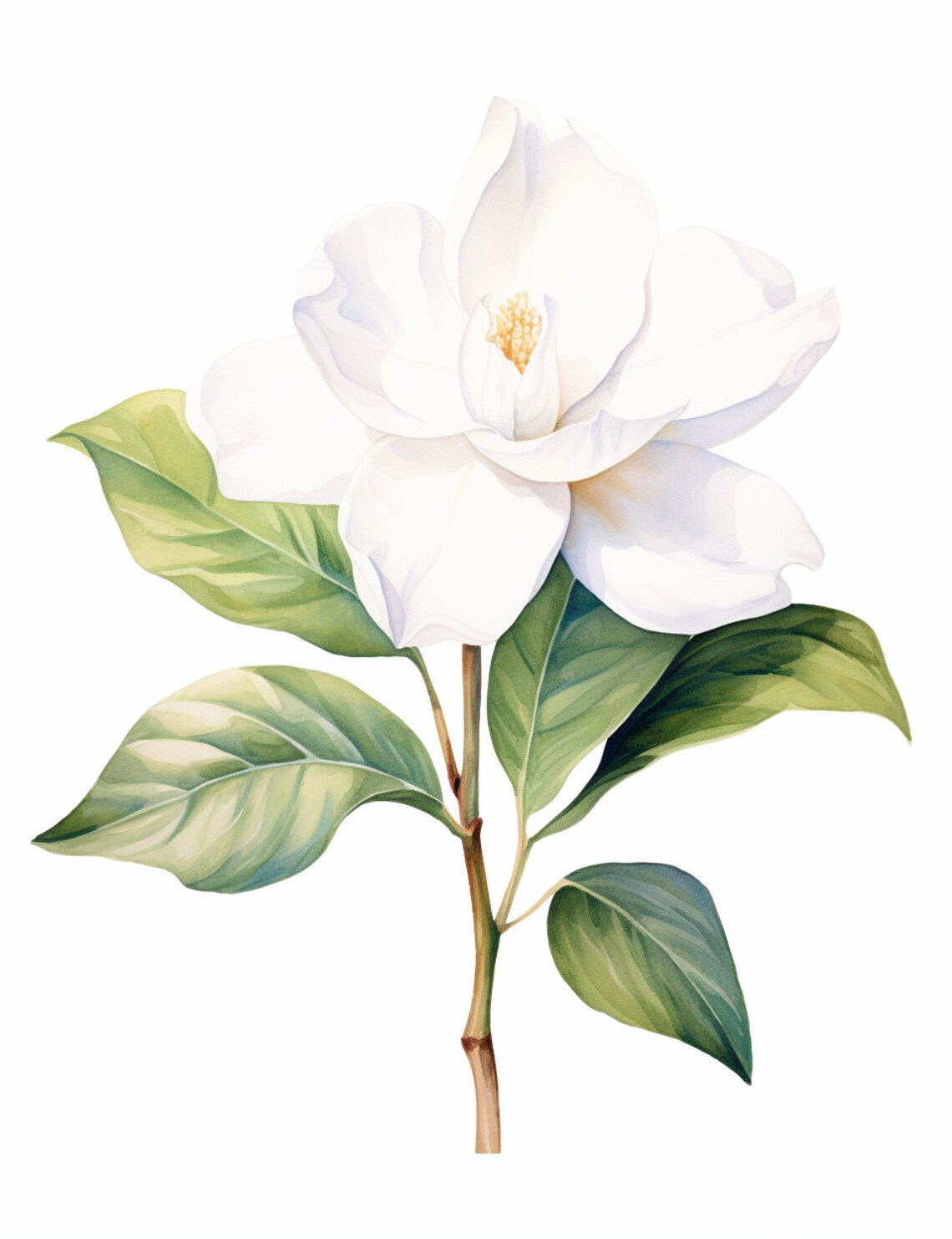 Gardenia, Flowers, Watercolor Clipart, Flower Portrait, Digital Prints ...