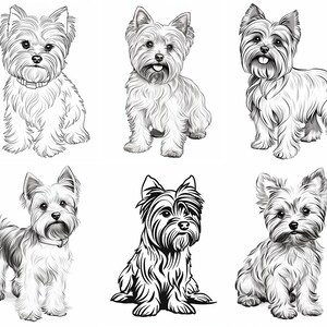Yorkie Coloring Pages, Pet Portrait, 20 Prints, Printable Coloring Page ...