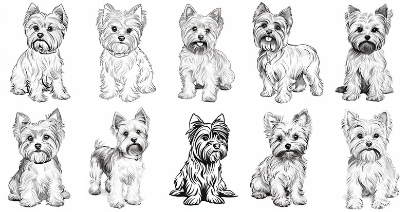 Yorkie Coloring Pages, Pet Portrait, 20 Prints, Printable Coloring Page ...