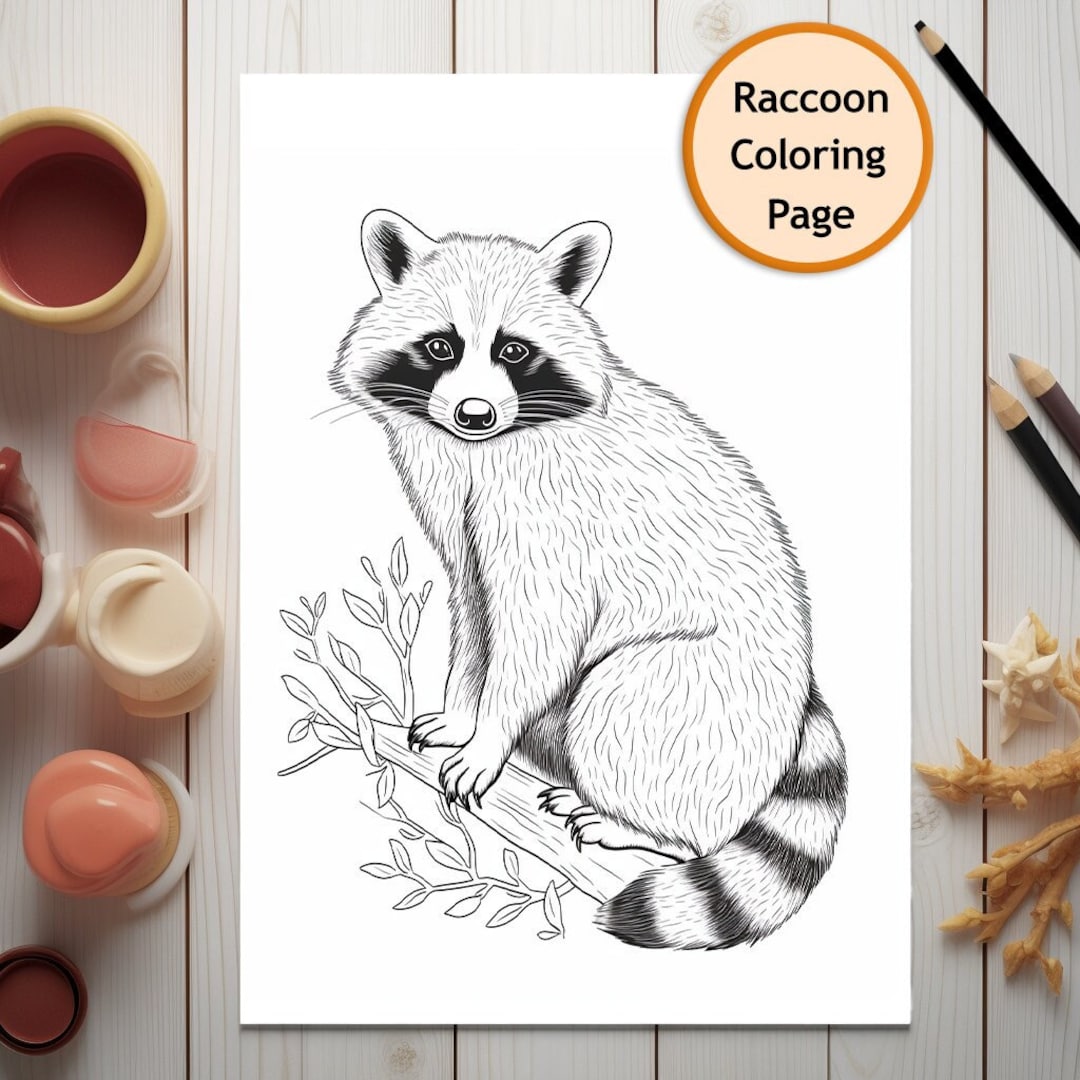 Raccoon, Woodland, Coloring Page, Animal Portrait, Printable Coloring ...
