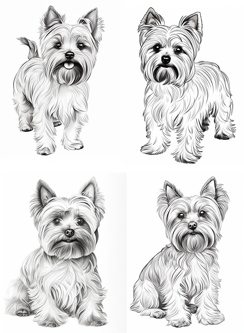 Yorkie, Dogs, Dog Coloring , Coloring Pages, Pet Portrait, Printable ...