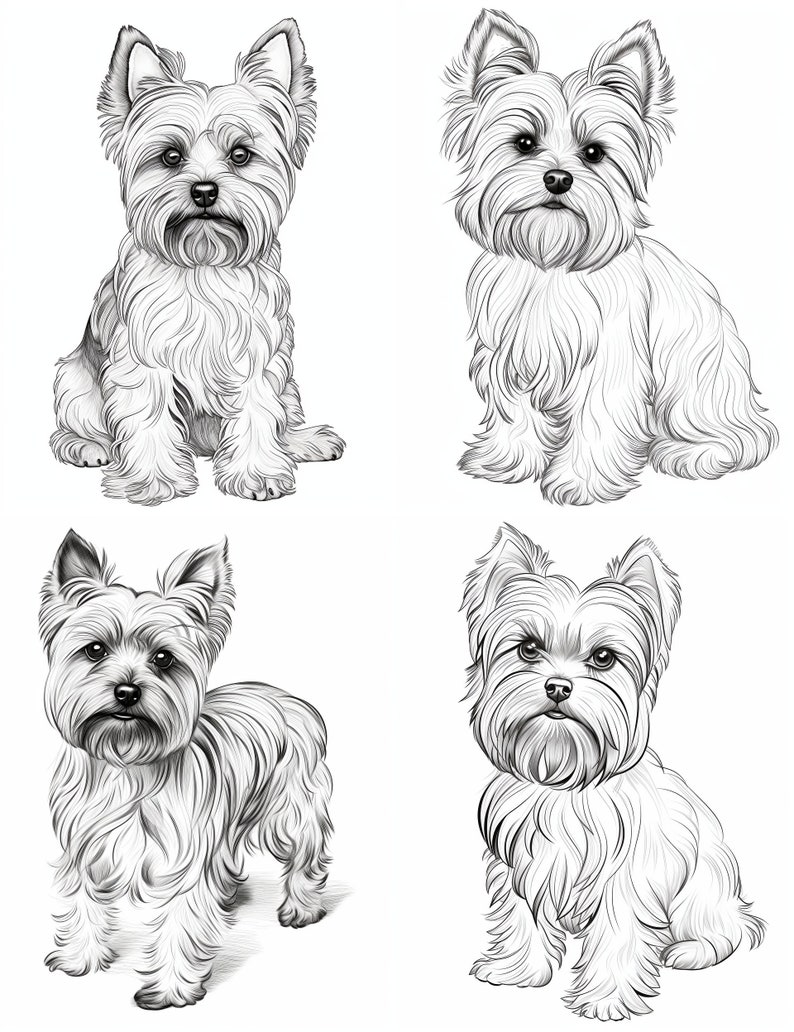Yorkshire Terrier Yorkie Coloring Pages Pet Portrait - Etsy UK