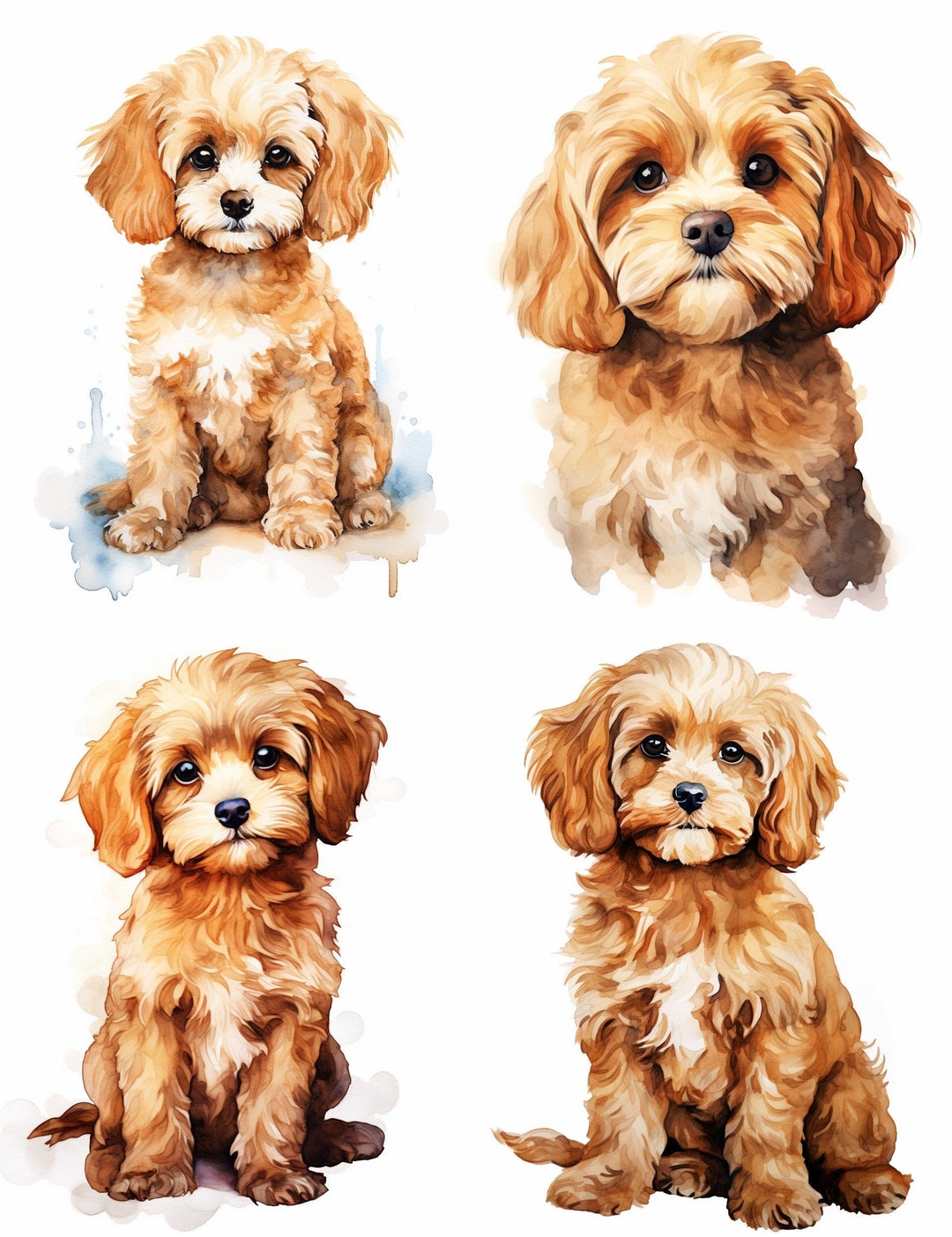 Cavapoo Clipart Watercolor PNG Digital Download - Etsy