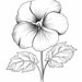 Pansy, Flower, Coloring Page, Flower Portrait, Printable Coloring Page ...