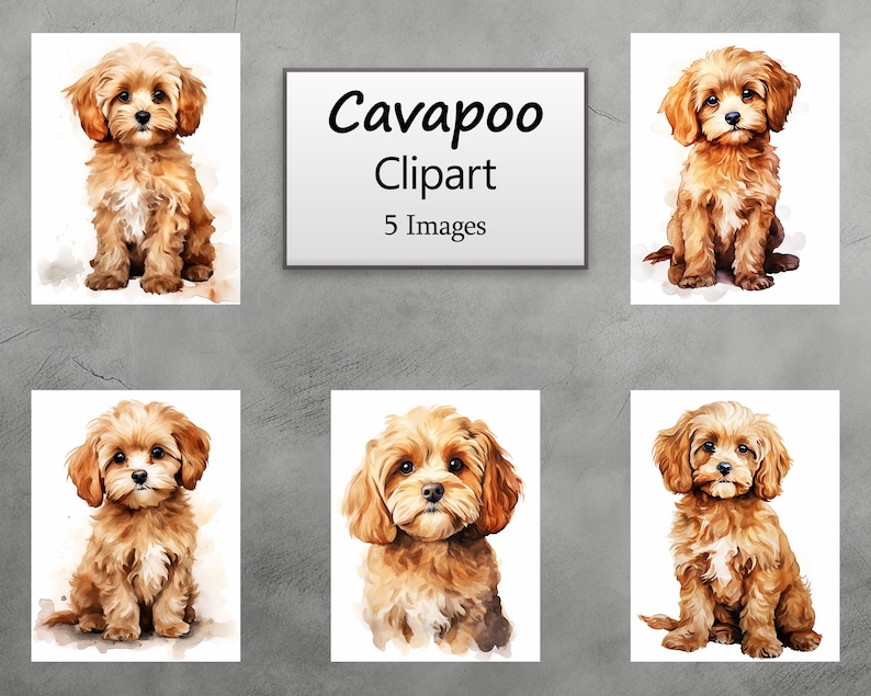 Cavapoo, Dog, Watercolor Clipart, Dog Portrait, Scrapbooking, Journal ...