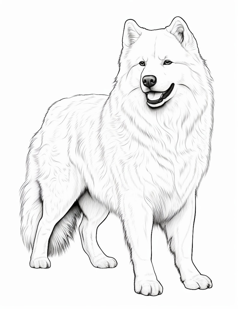 Samoyed | Dog | Coloring Page | Pet Portrait | Printable Coloring Page ...