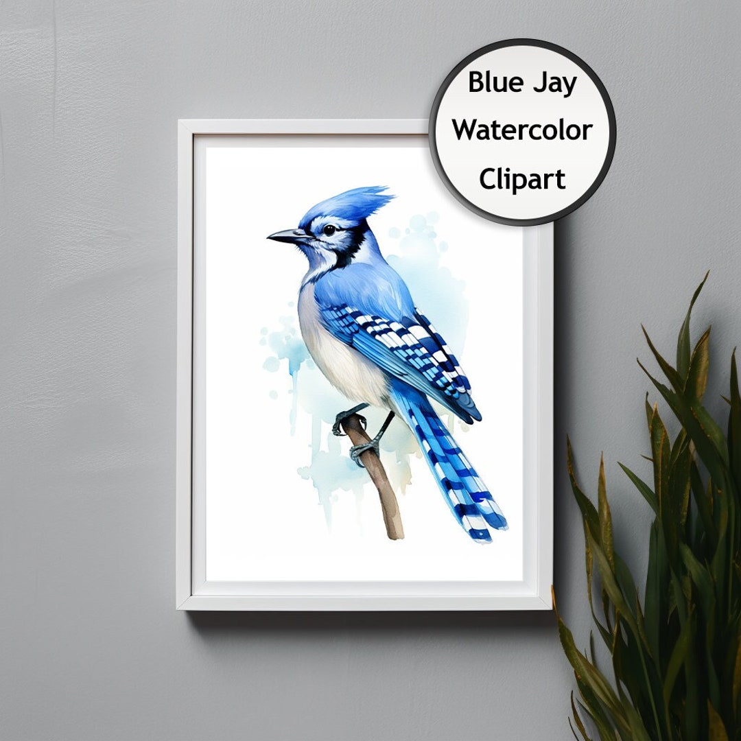 Blue Jay Watercolor Clipart, Transparent, Printable Art, Animal Clipart ...