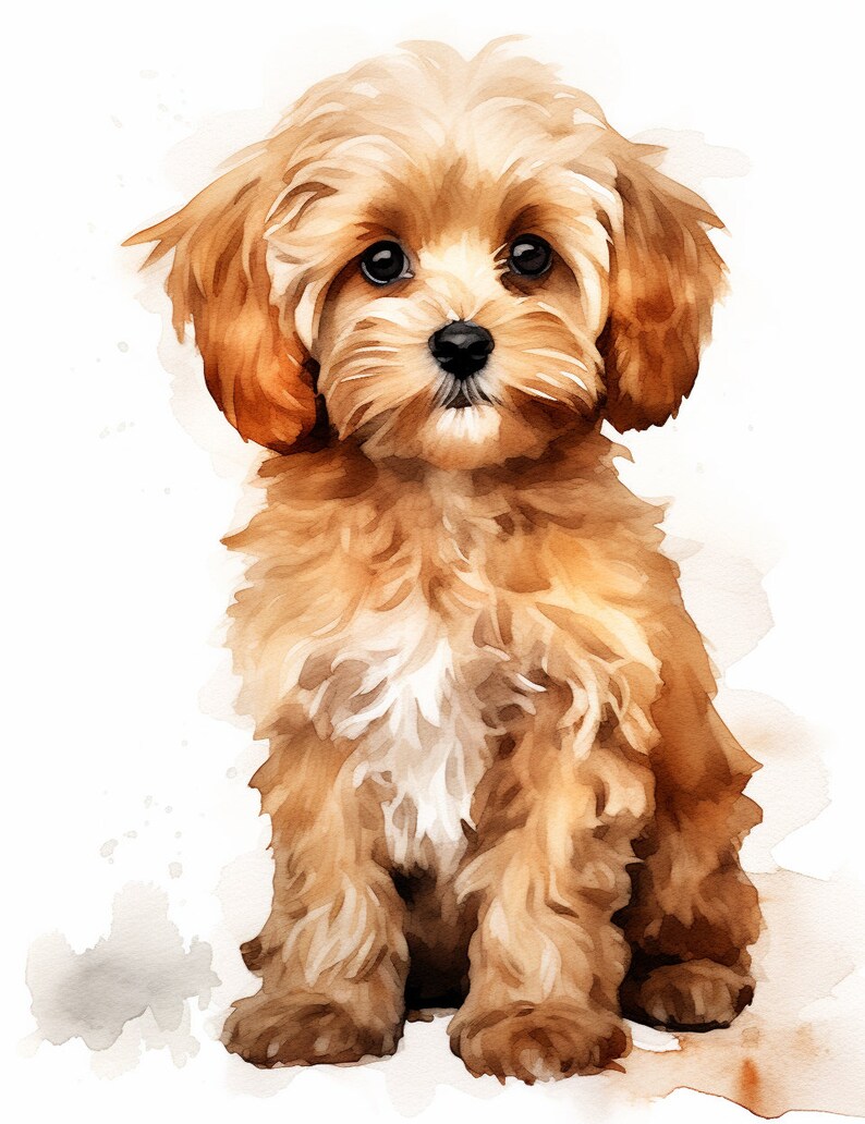 Cavapoo, Dog, Watercolor Clipart, Dog Portrait, Scrapbooking, Journal ...