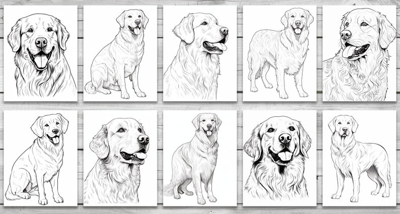 Golden Retriever, Dog Coloring Pages, Pet Portrait, Printable Coloring ...
