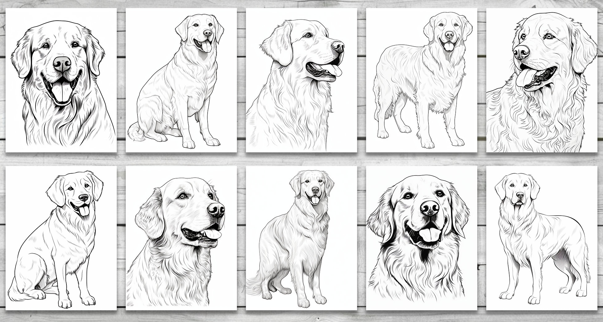 Golden Retriever, Dog Coloring Pages, Pet Portrait, Printable Coloring ...