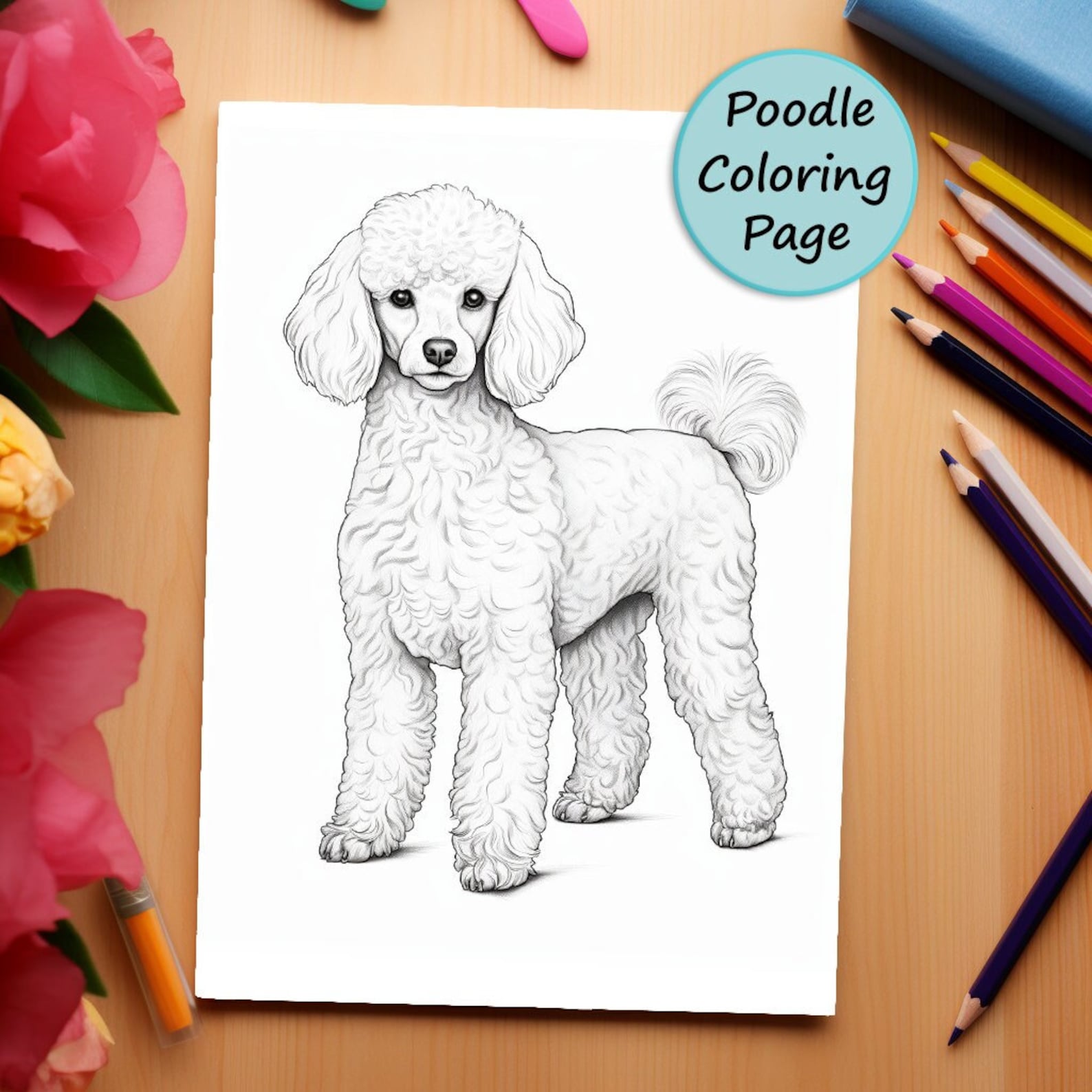 Poodle, Dog, Coloring Page, Dog Portrait, Printable Coloring Page ...