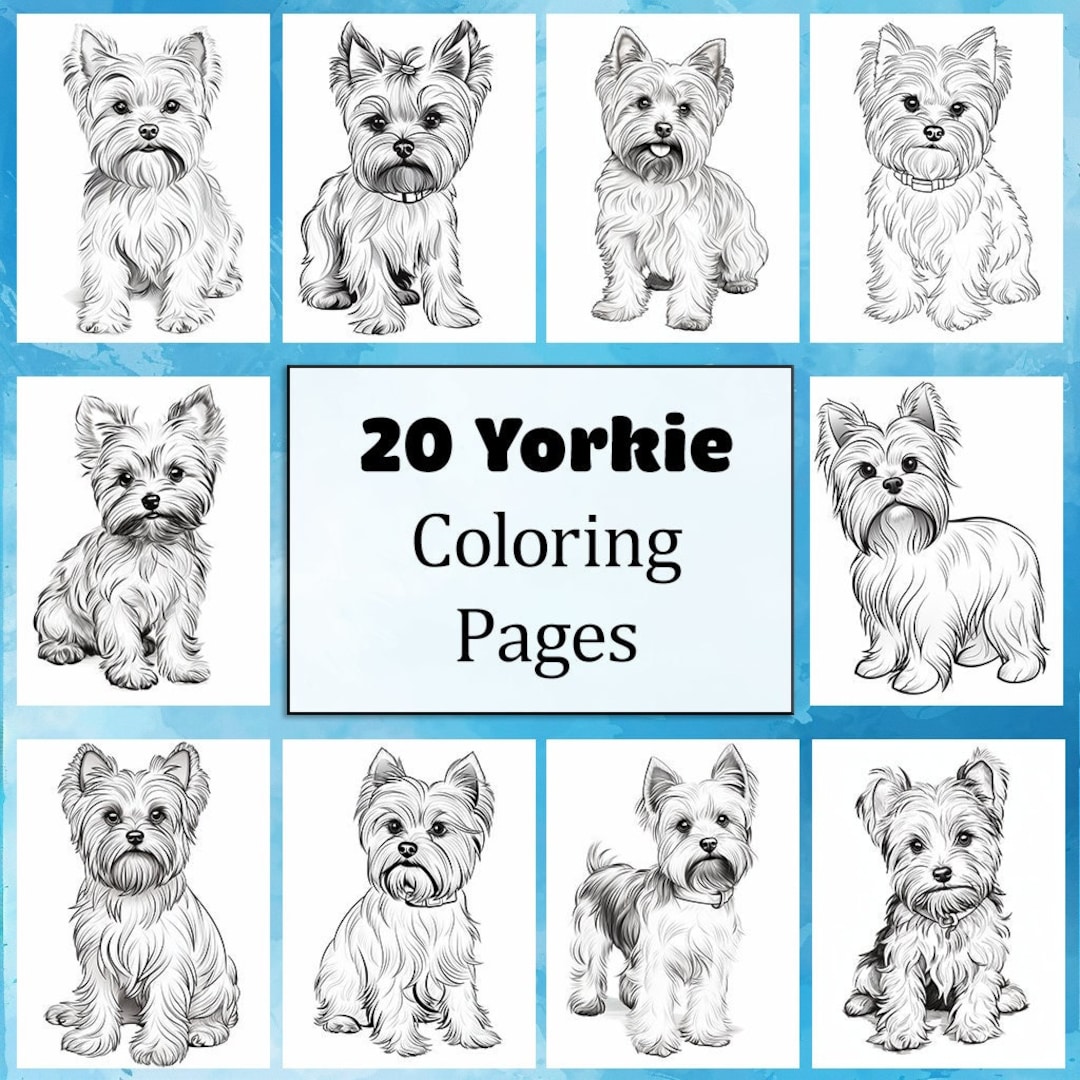 Yorkie Coloring Pages, Pet Portrait, 20 Prints, Printable Coloring Page ...