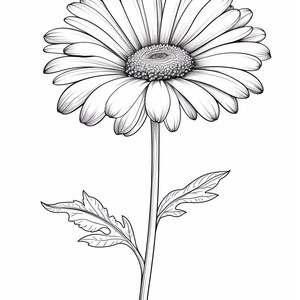 Daisy, Flower, Coloring Page, Flower Portrait, Printable Coloring Page ...