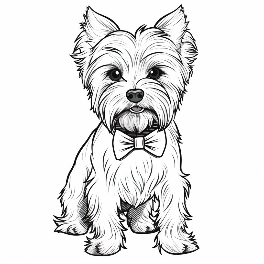 Yorkshire Terrier Yorkie Coloring Page Pet Portrait - Etsy