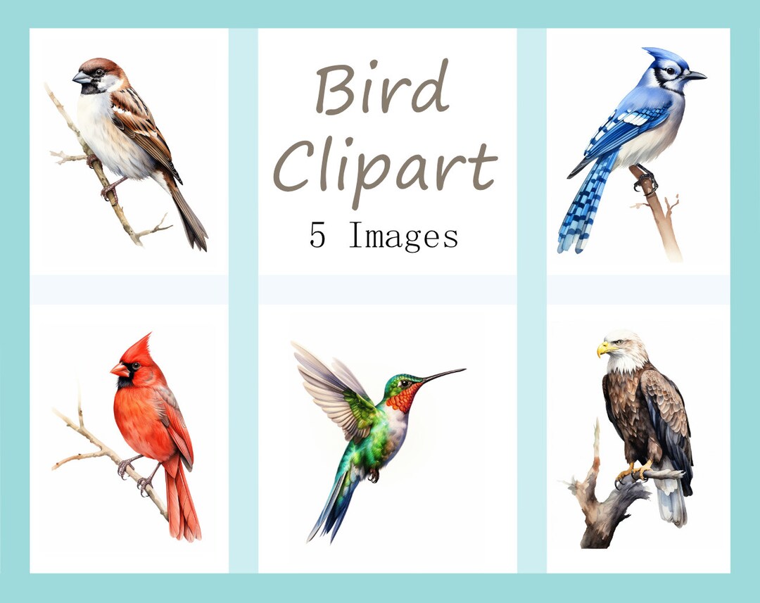 Birds, Watercolor Clipart, Bird Portrait, Scrapbooking, Paper Crafts ...