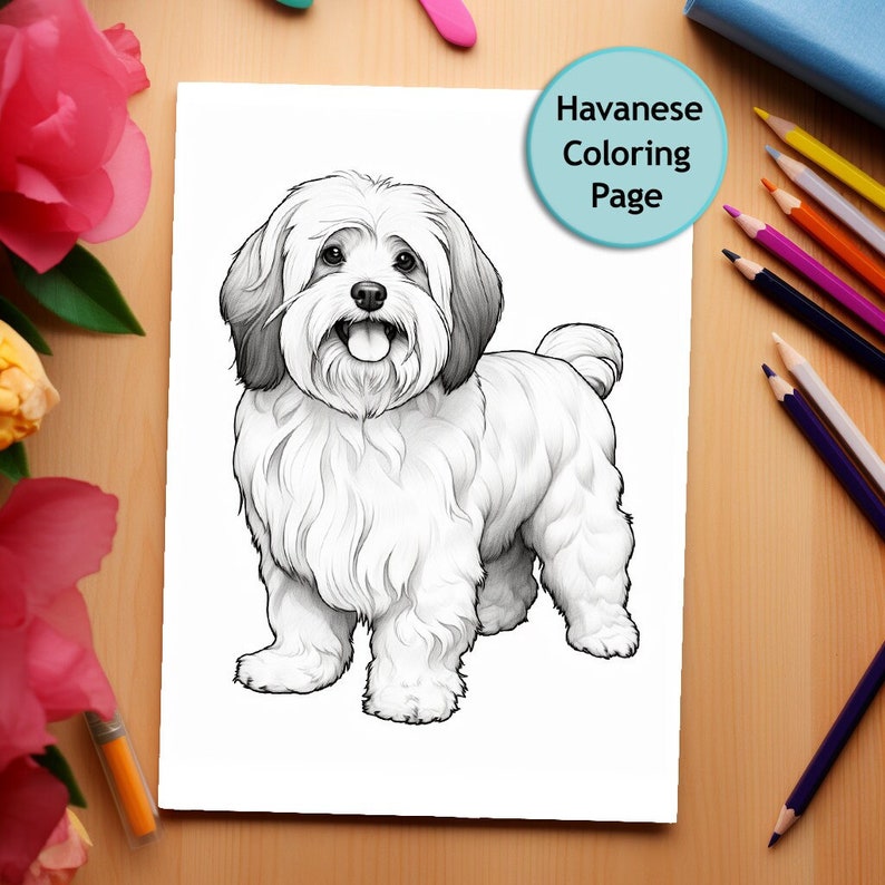 Havanese, Dog, Coloring Page, Dog Portrait, Printable Coloring Page ...