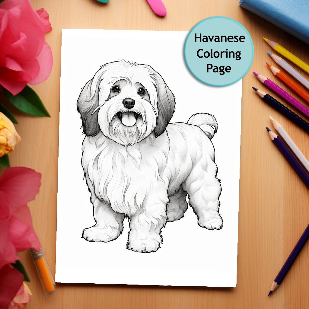 Havanese, Dog, Coloring Page, Dog Portrait, Printable Coloring Page ...