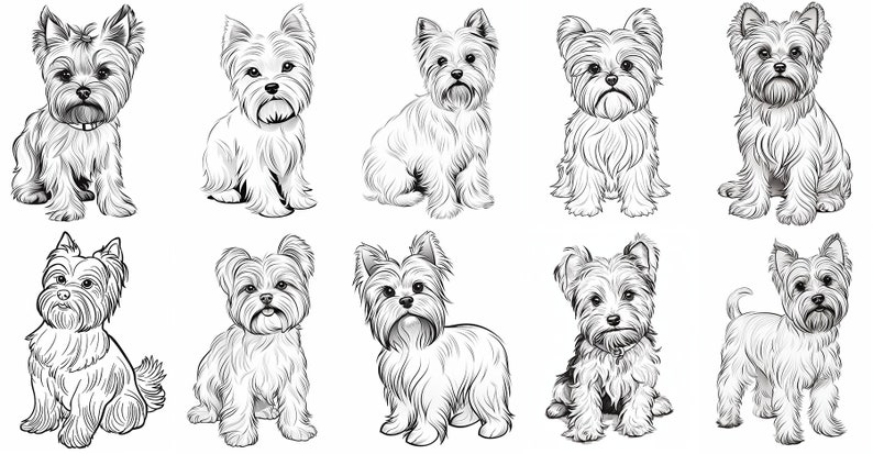 Yorkie Coloring Pages, Pet Portrait, 20 Prints, Printable Coloring Page ...
