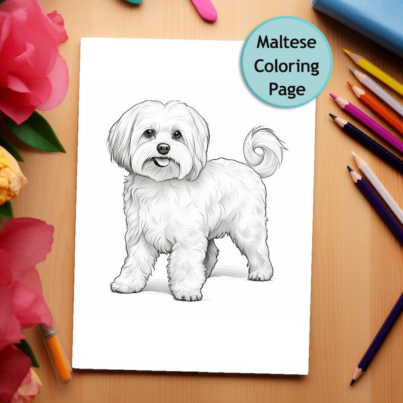 Maltese, Dog, Coloring Page, Dog Portrait, Printable Coloring Page ...