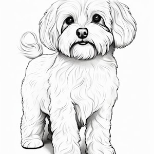 Maltipoo, Dog, Coloring Page, Pet Portrait, Dog Coloring, Printable ...
