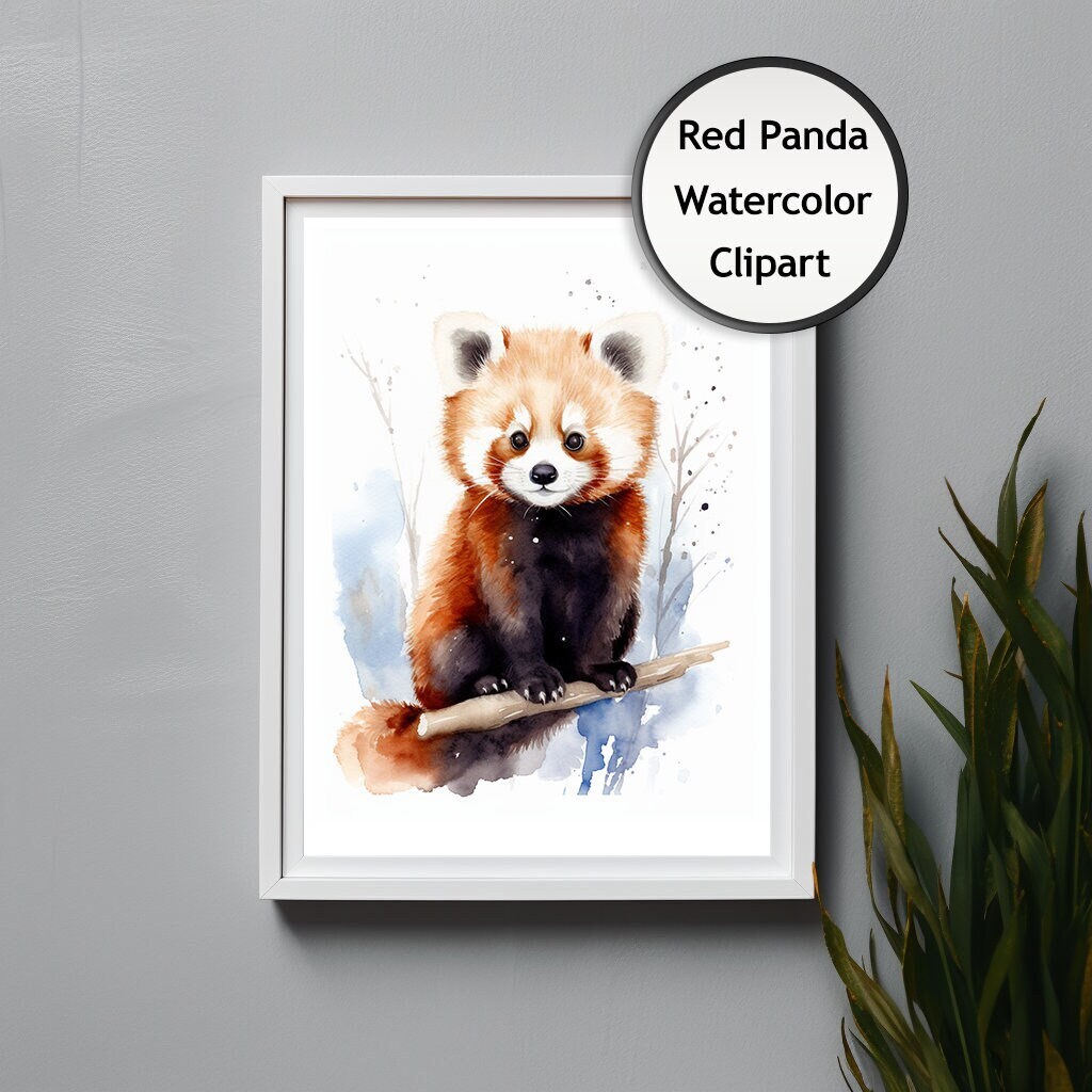 Red Panda, Watercolor Clipart, Transparent, Wall Art, Animal Portrait ...
