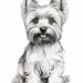 Yorkshire Terrier Yorkie Coloring Pages Pet Portrait Printable Coloring ...