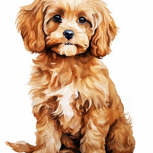 Cavapoo, Dog, Watercolor Clipart, Dog Portrait, Scrapbooking, Journal ...