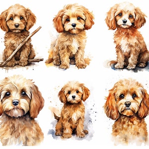 Cavapoo Watercolor Clipart, Dog Portrait, Scrapbooking, Journaling ...
