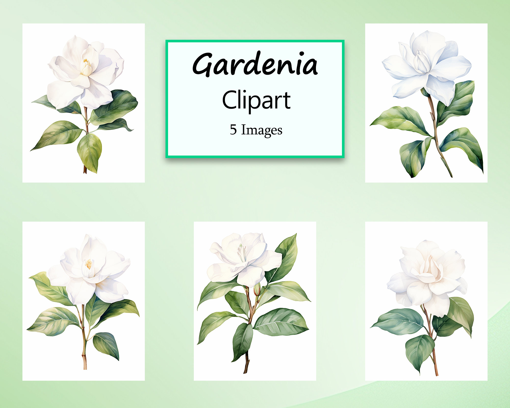 Gardenia, Flowers, Watercolor Clipart, Flower Portrait, Digital Prints ...