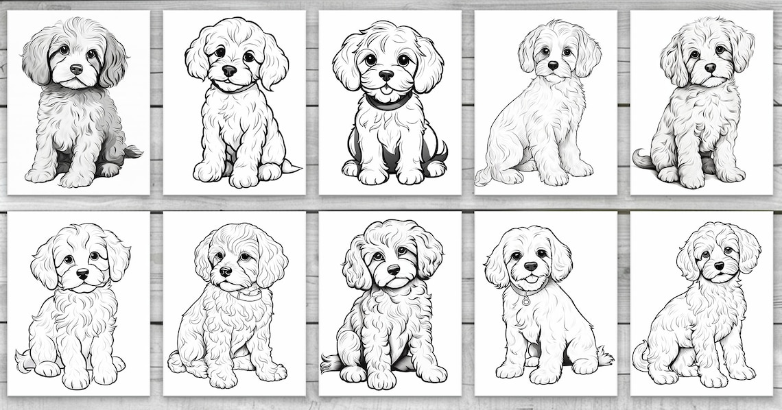 Cavapoo, Dog Coloring Pages, Dog Portrait, Printable Coloring Page ...