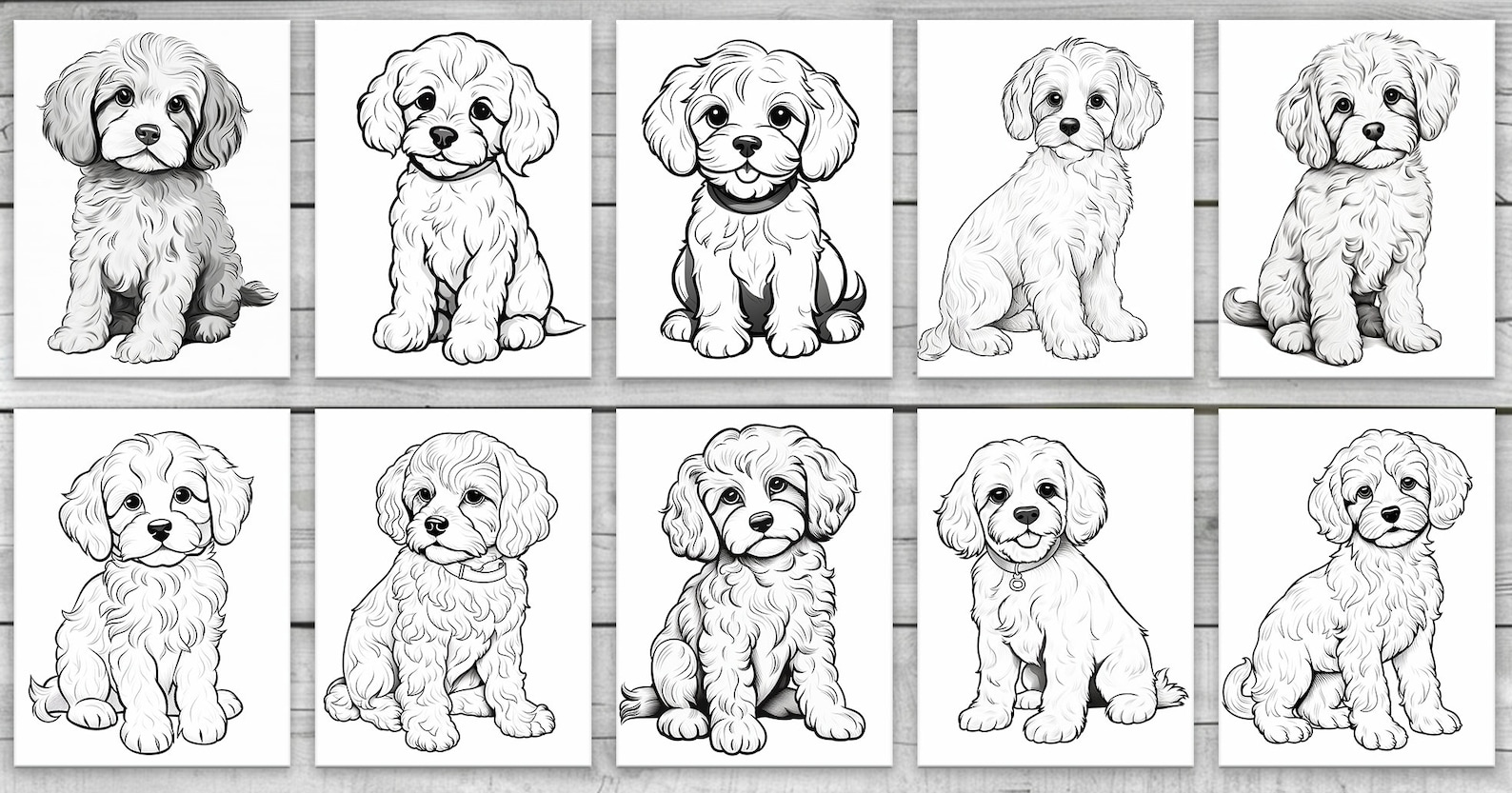Cavapoo, Dog Coloring Pages, Dog Portrait, Printable Coloring Page ...