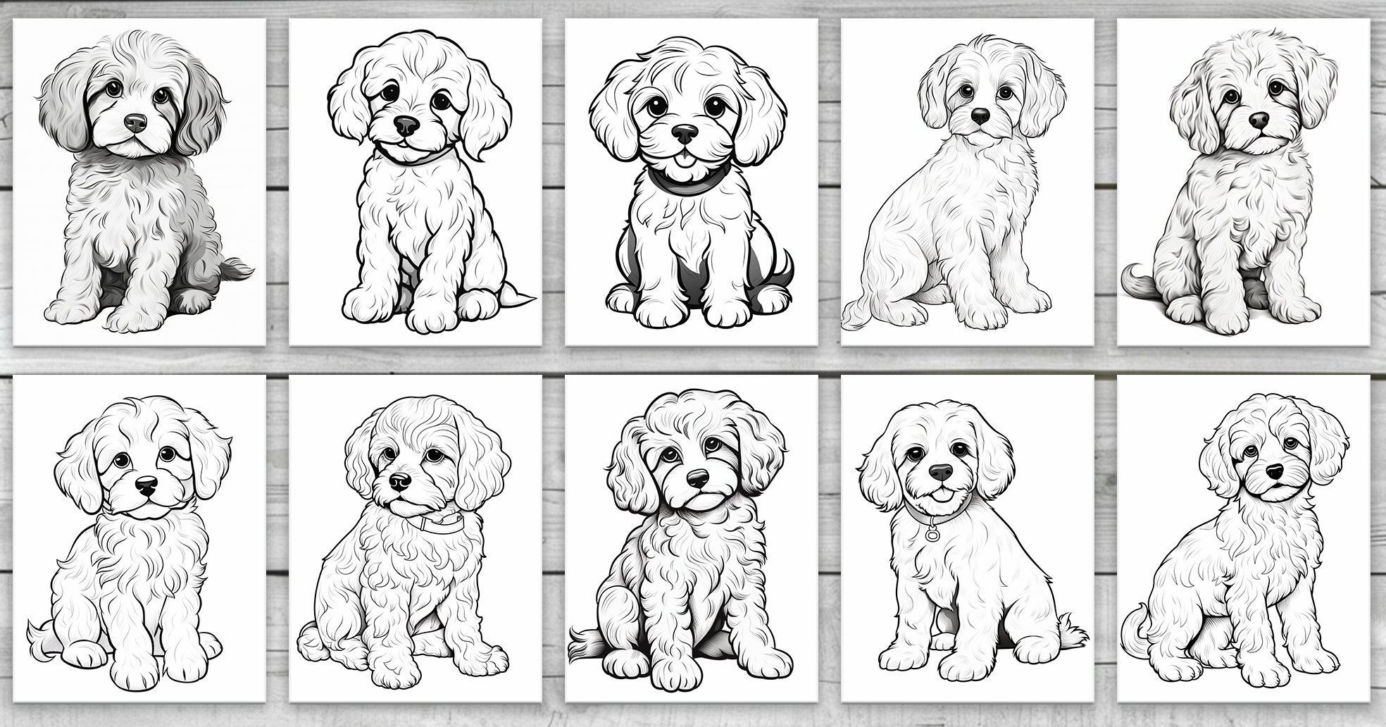 Cavapoo, Dog Coloring Pages, Dog Portrait, Printable Coloring Page ...