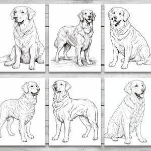 Golden Retriever, Dog Coloring Pages, Pet Portrait, Printable Coloring ...