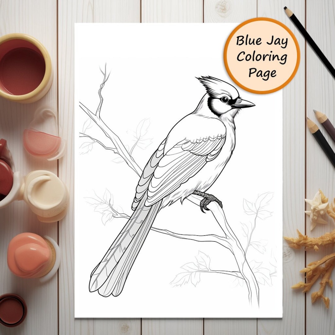 Blue Jay | Bird | Coloring Page | Bird Portrait | Printable Coloring ...