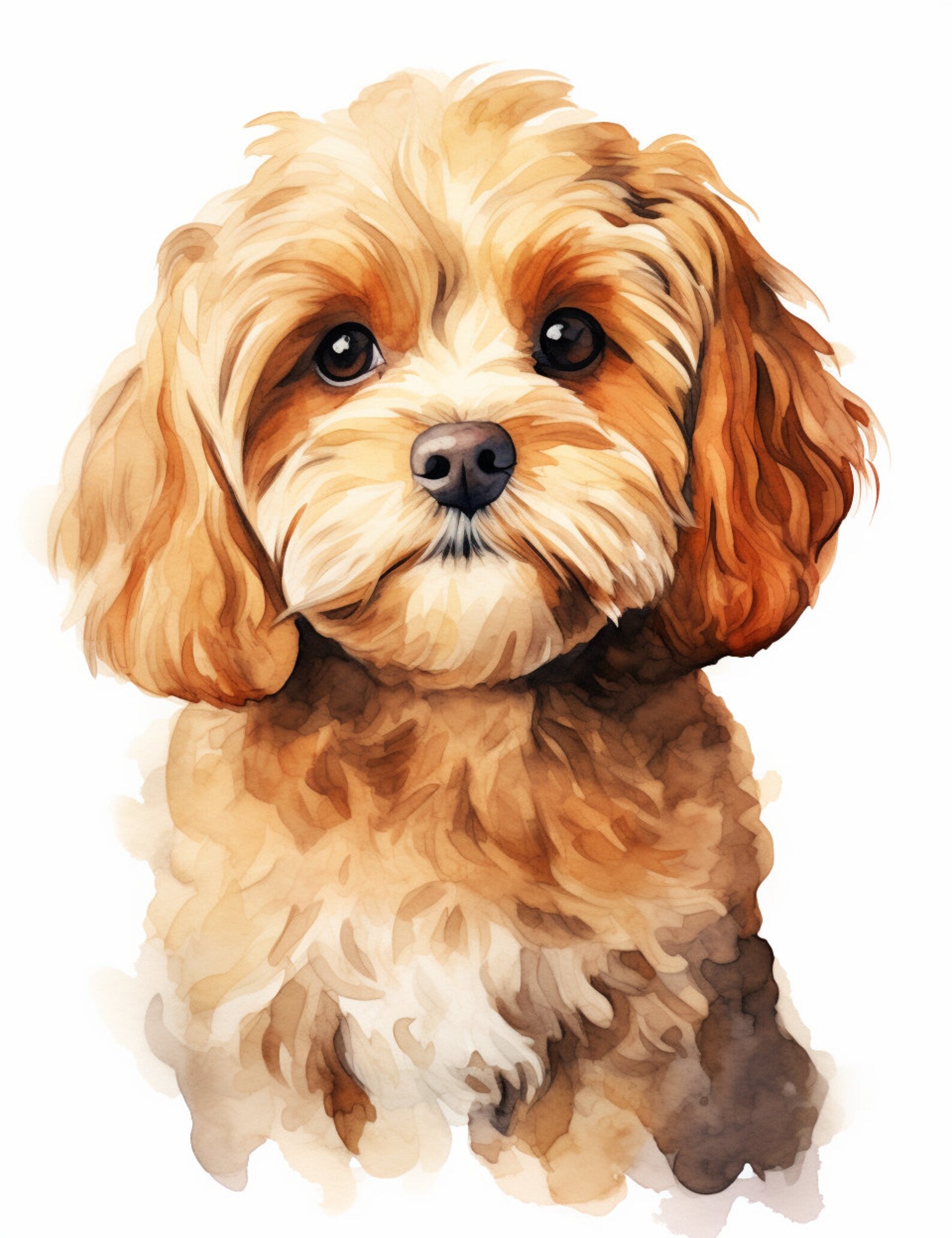 Cavapoo, Dog, Watercolor Clipart, Dog Portrait, Scrapbooking, Journal ...