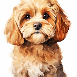 Cavapoo, Dog, Watercolor Clipart, Dog Portrait, Scrapbooking, Journal ...