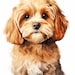 Cavapoo, Dog, Watercolor Clipart, Dog Portrait, Scrapbooking, Journal ...