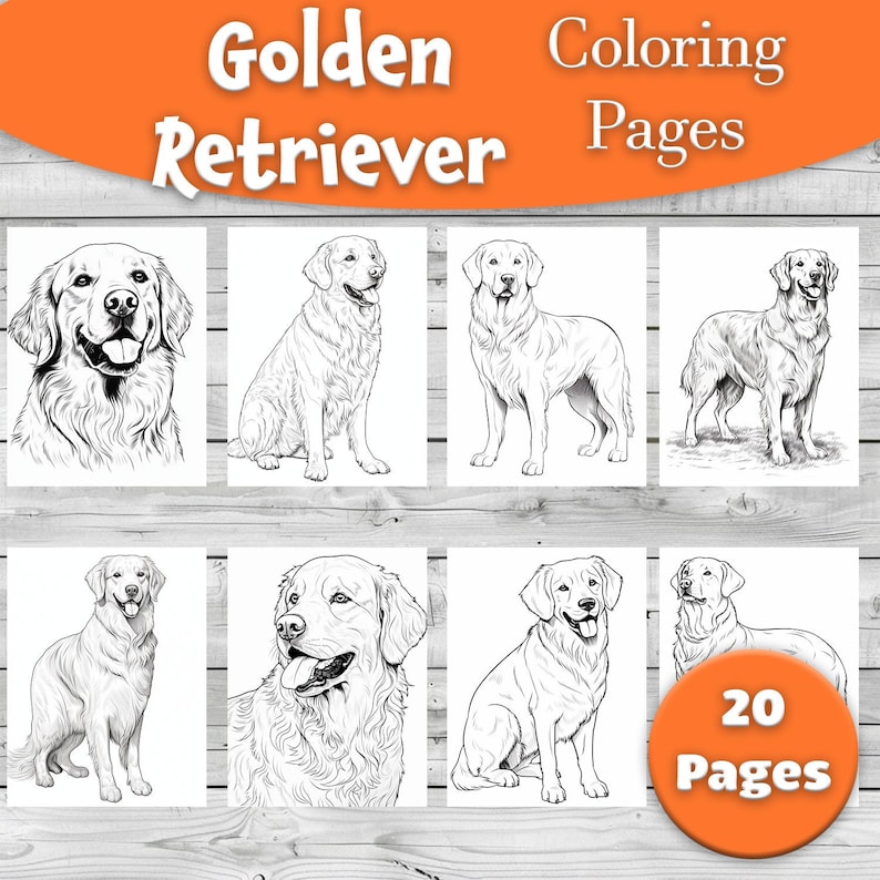 Golden Retriever, Dog Coloring Pages, Pet Portrait, Printable Coloring ...