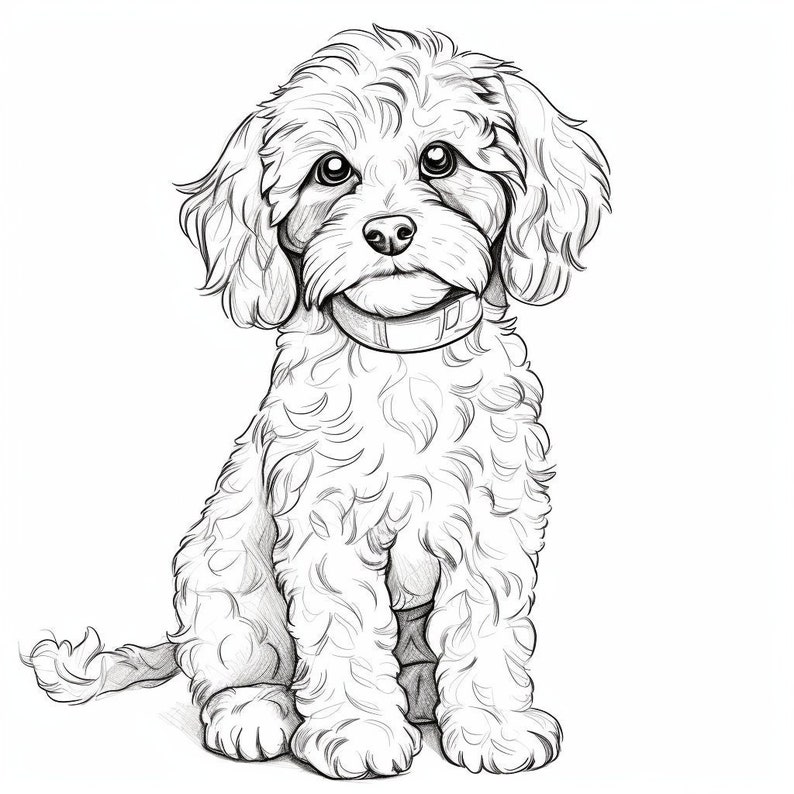 Cavapoochon, Dog, Coloring Page, Dog Portrait, Printable Coloring Page ...