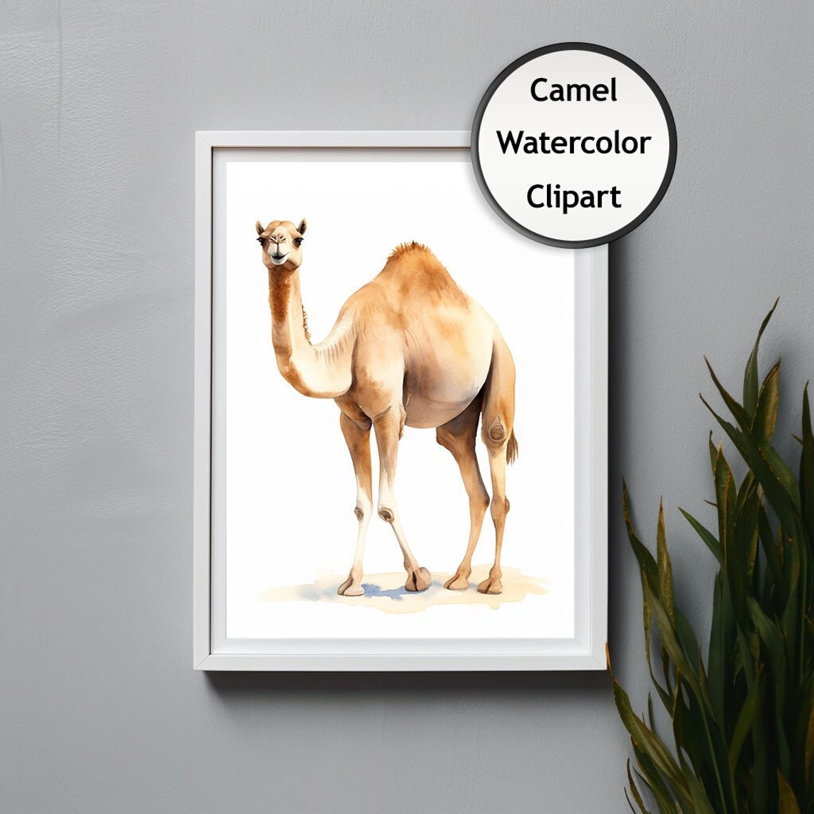 Camel, Watercolor Clipart, Transparent, Animal Clipart, Scrapbooking ...