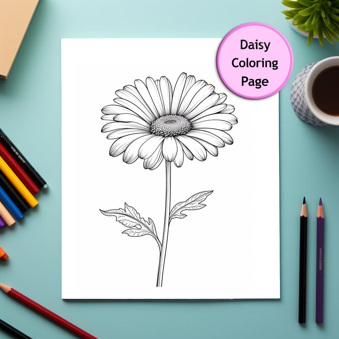 Daisy, Flower, Coloring Page, Flower Portrait, Printable Coloring Page ...