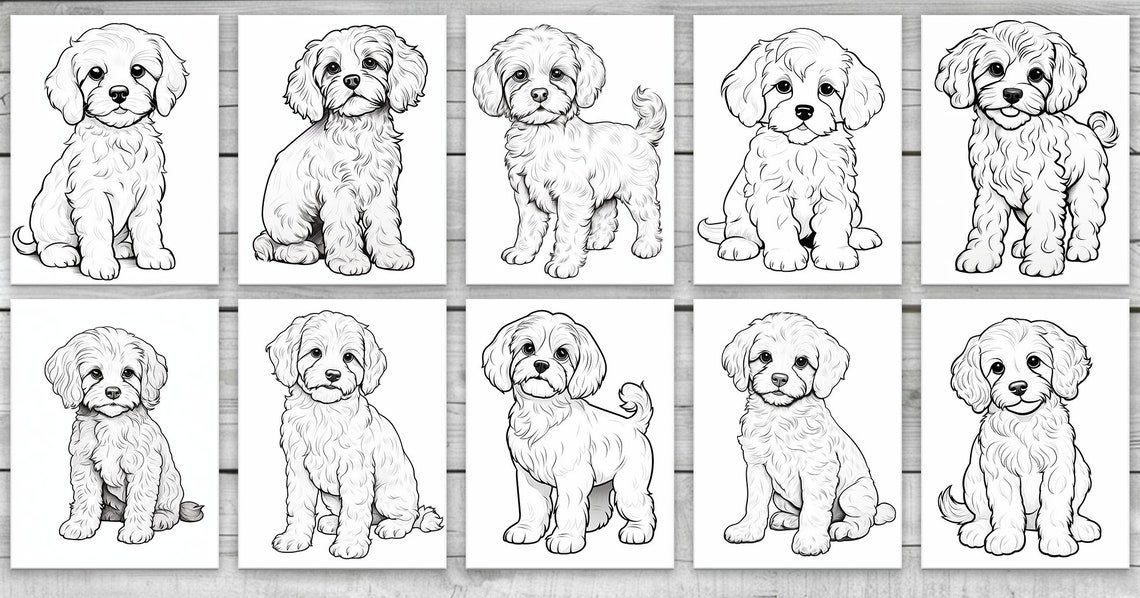 Cavapoo, Dog Coloring Pages, Dog Portrait, Printable Coloring Page ...