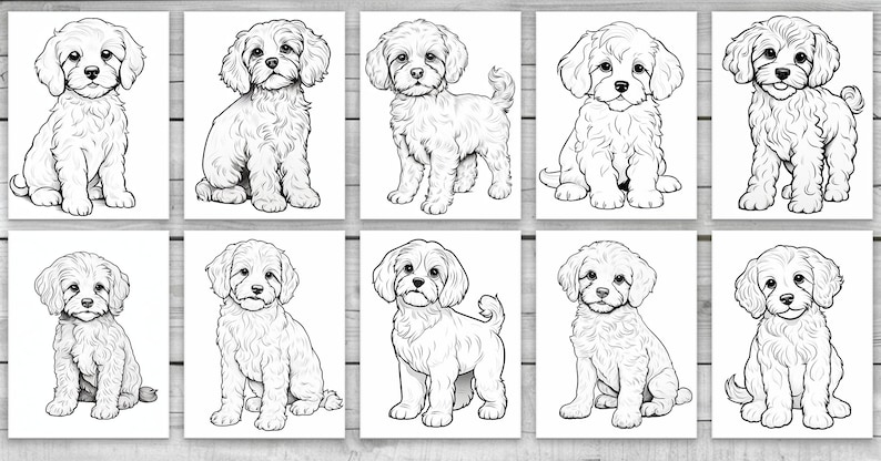 Cavapoo, Dog Coloring Pages, Dog Portrait, Printable Coloring Page ...