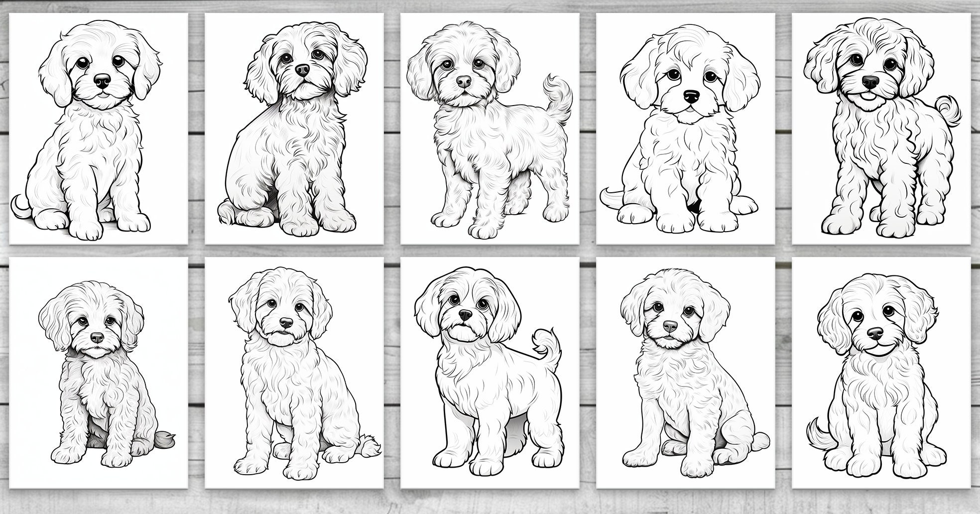 Cavapoo, Dog Coloring Pages, Dog Portrait, Printable Coloring Page ...
