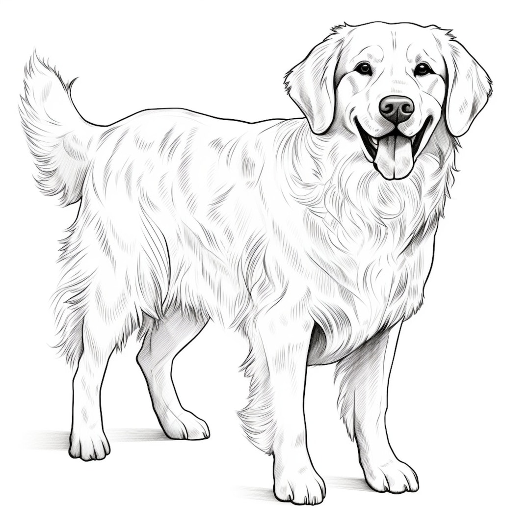 Printable Coloring Page Golden Retriever Instant Download - Etsy