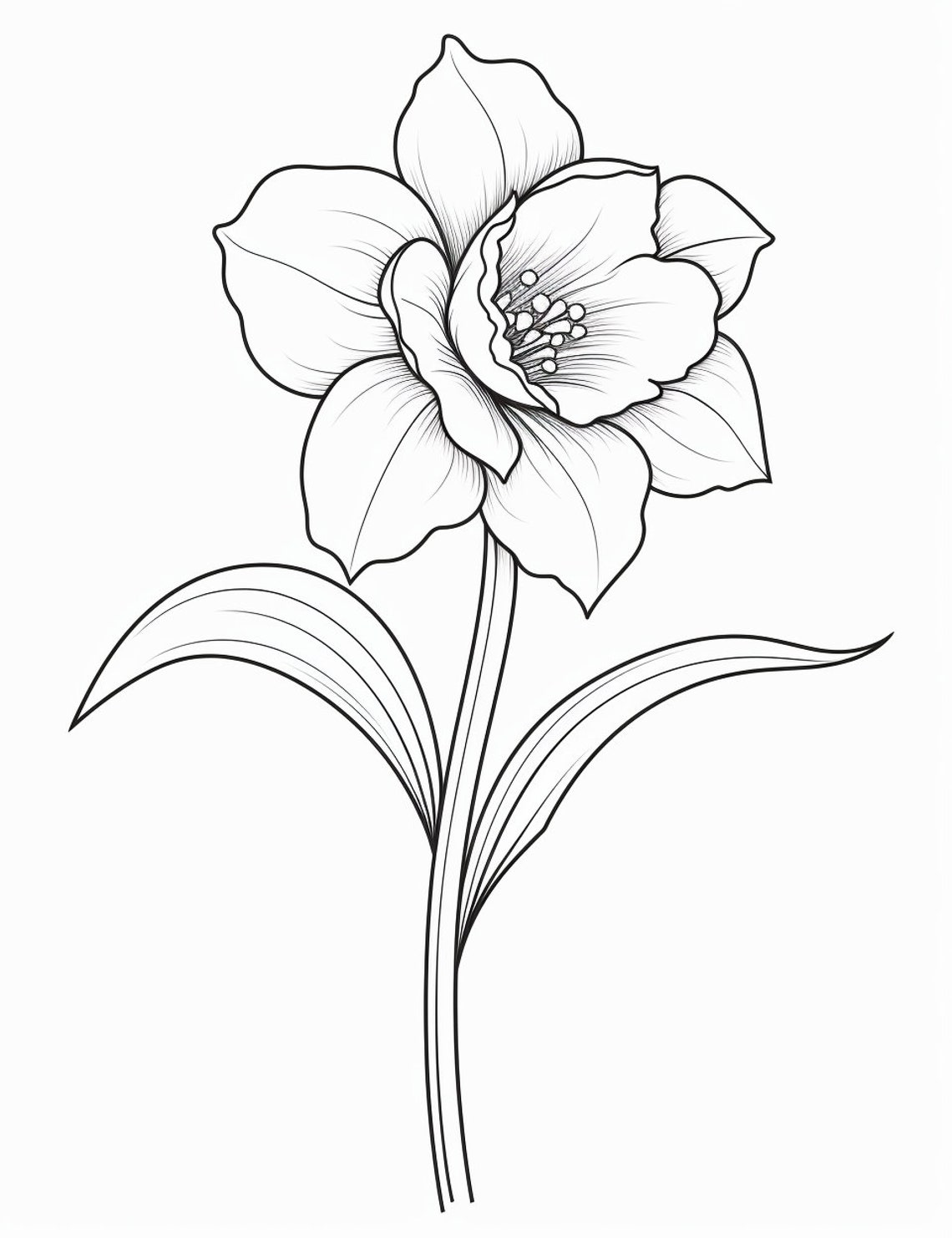 Daffodil, Flower, Coloring Page, Flower Portrait, Printable Coloring ...