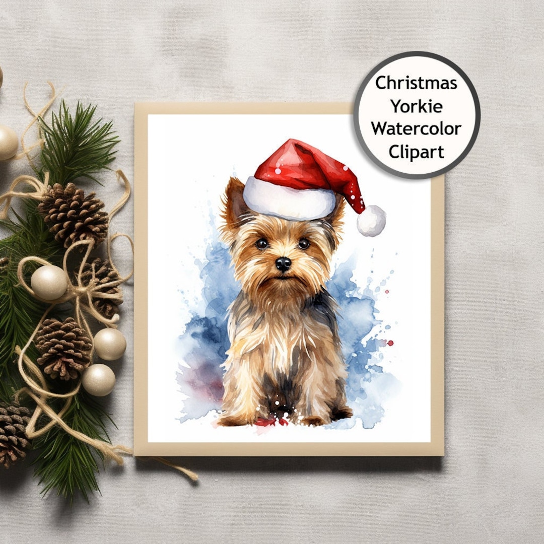 Christmas Yorkie Watercolor Clipart, Transparent PNG (digital Download ...