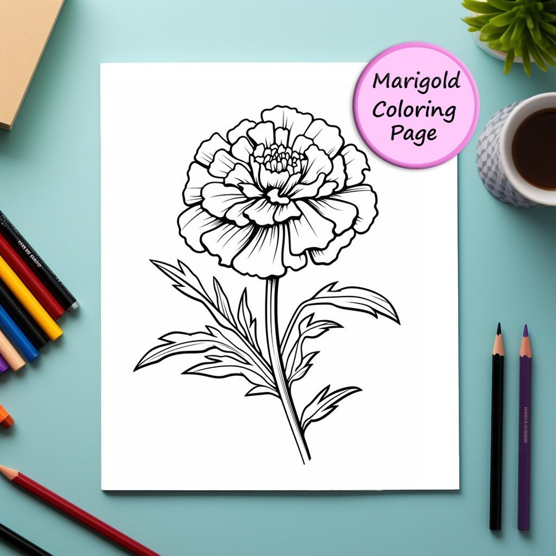 Marigold, Flower, Coloring Page, Flower Portrait, Printable Coloring ...